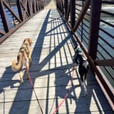 Luce Line Trail, Minnesota - 196 Reviews, Map | AllTrails