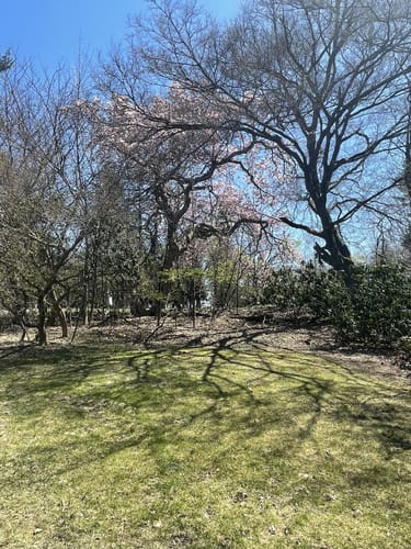 Best Hikes and Trails in Elizabeth Park | AllTrails