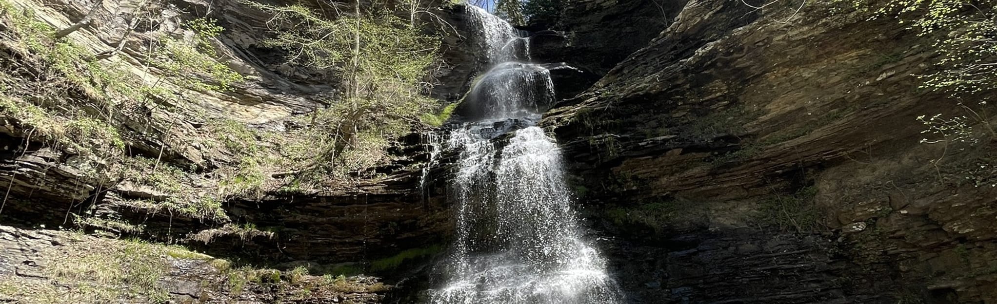 Cathedral Falls, West Virginia - 148 Reviews, Map | AllTrails