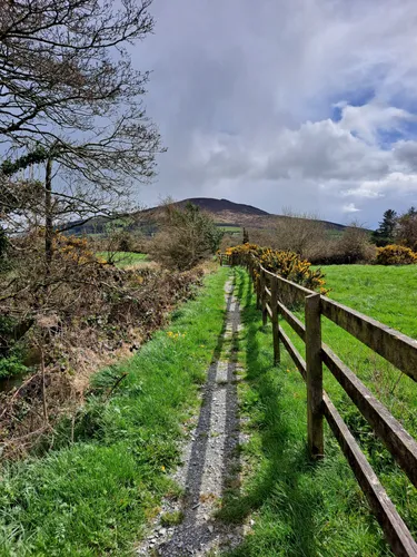 2023 Best 10 Walking Trails in County Limerick | AllTrails