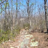 Signal Knob Loop Trail, Virginia - 894 Reviews, Map | AllTrails