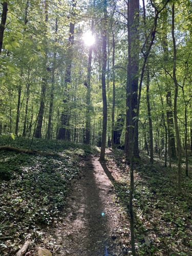 Best Hikes and Trails in Cascade Springs Nature Preserve | AllTrails