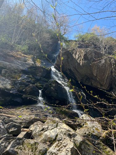 Best Hikes and Trails in Thunder Ridge Wilderness | AllTrails