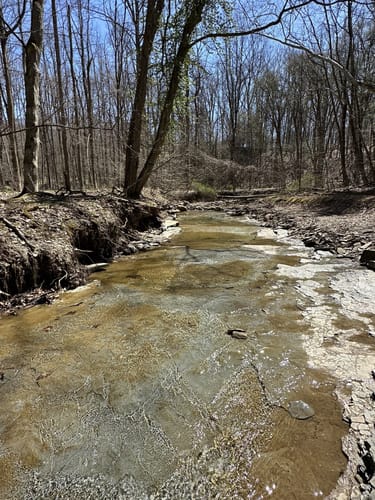 Best Hikes and Trails in Deep Lock Quarry Metro Park | AllTrails