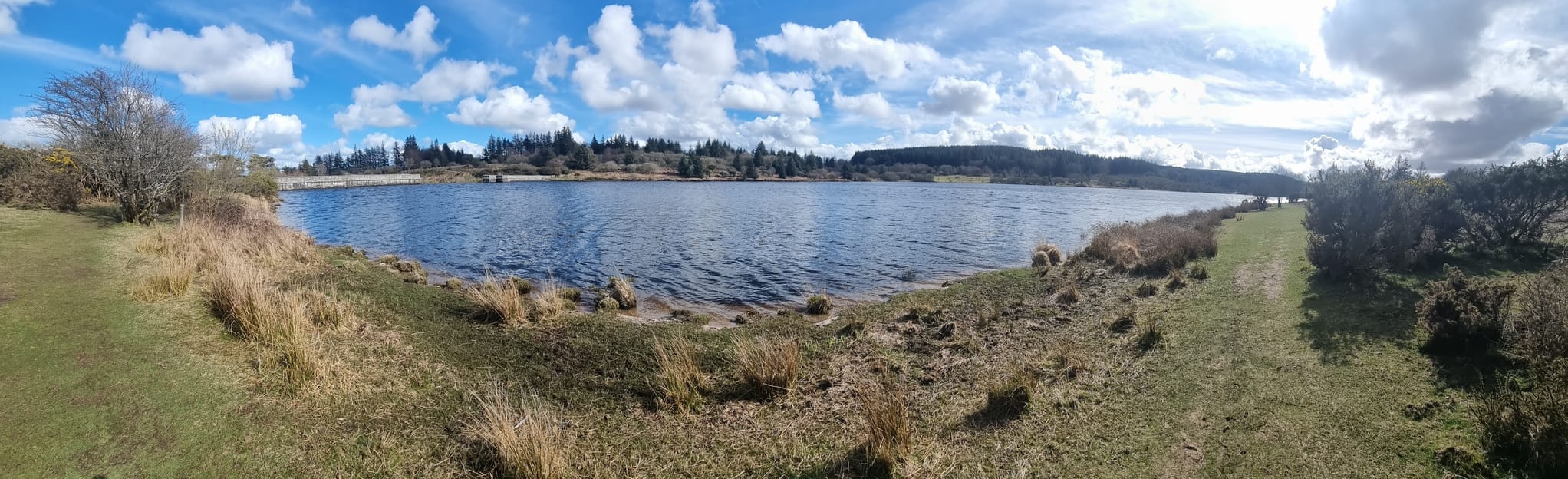Fernworthy Reservoir Circular, Devon, England - 47 Reviews, Map | AllTrails