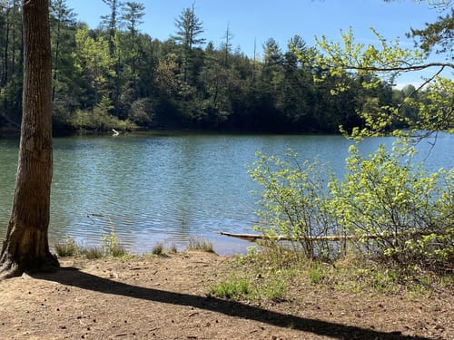 Best Hikes and Trails in Fonta Flora County Park | AllTrails