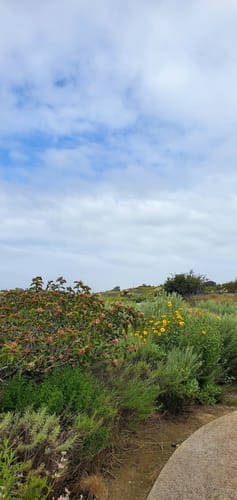 Best Hikes and Trails in Sunset Ridge Park | AllTrails