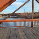 Rundle Park Riverside Trail, Alberta, Canada - 217 Reviews, Map | AllTrails