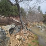 Lynx Creek Ruins Trail, Arizona - 151 Reviews, Map | AllTrails