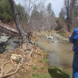 Lynx Creek Ruins Trail, Arizona - 151 Reviews, Map | AllTrails