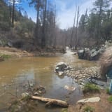 Lynx Creek Ruins Trail, Arizona - 151 Reviews, Map | AllTrails