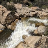 Sweetwater River Loop Trail, California - 439 Reviews, Map | AllTrails