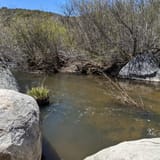 Sweetwater River Loop Trail, California - 439 Reviews, Map | AllTrails