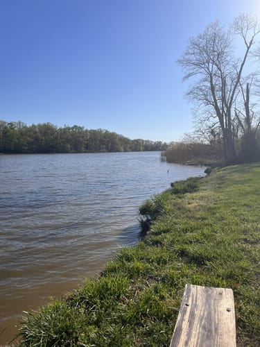 Best Hikes and Trails in Bohemia River State Park | AllTrails