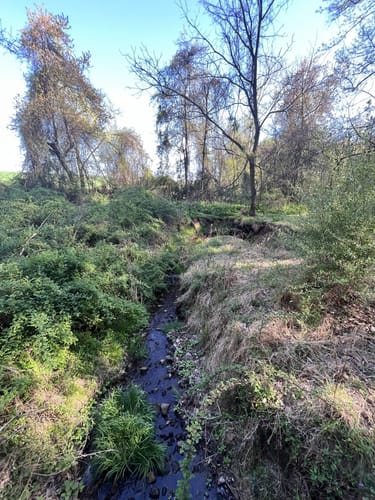 Best Hikes and Trails in Bohemia River State Park | AllTrails