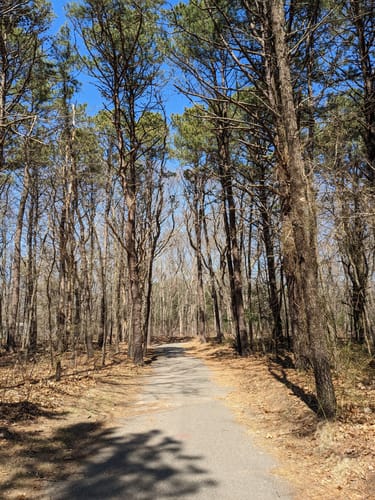 Best Hikes and Trails in Warwick City Park | AllTrails
