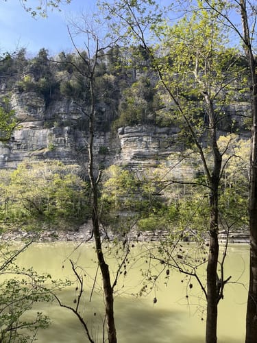 Best Hikes and Trails in Tom Dorman State Nature Reserve | AllTrails