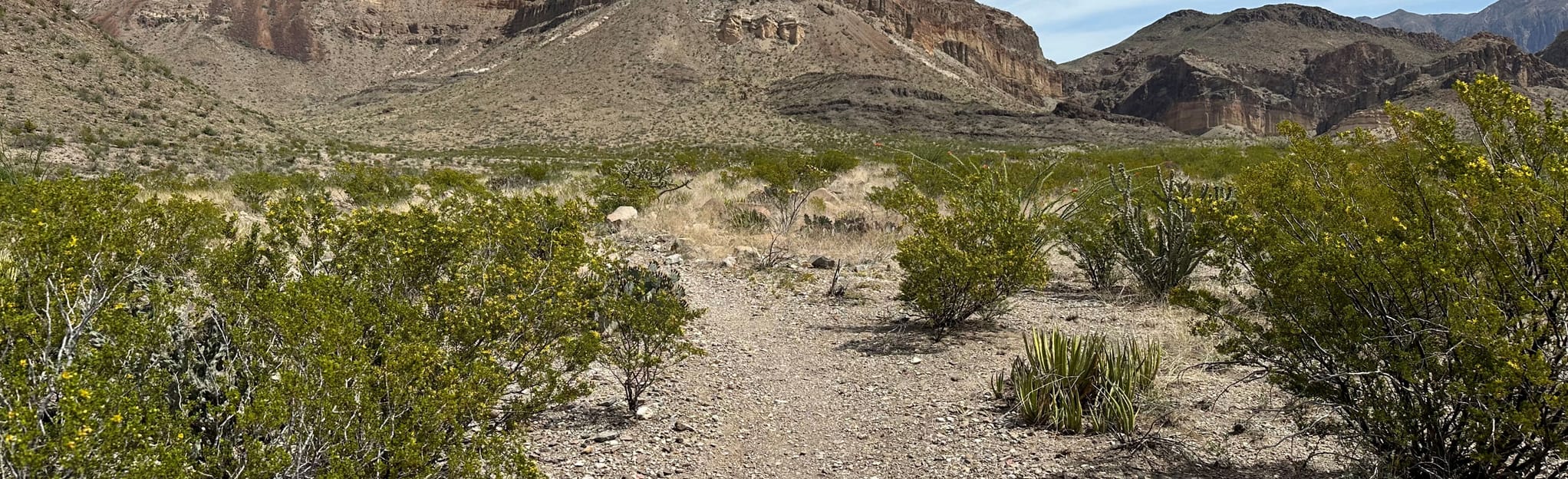 Burro Spring Trail: 80 fotos - Texas | AllTrails