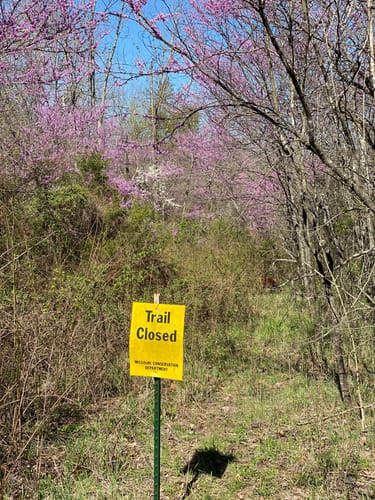 Best Hikes and Trails in Compton Hollow Conservation Area | AllTrails