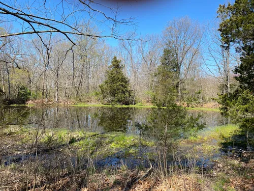 Best Hikes and Trails in Compton Hollow Conservation Area | AllTrails