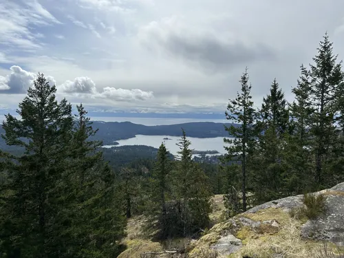 Best Hikes and Trails in Sooke Mountain Provincial Park | AllTrails