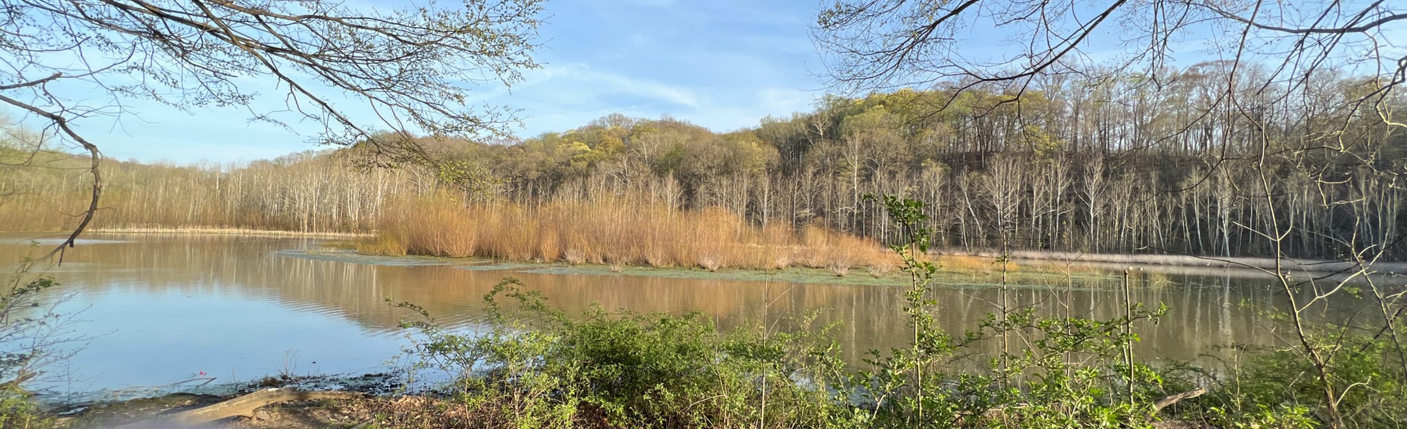 Griffy Creek and Lanam Trails: 57 Reviews, Map - Indiana | AllTrails