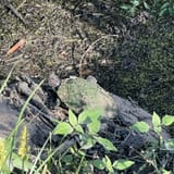 George Bush Hike and Bike Trail, Texas - 1,248 Reviews, Map | AllTrails