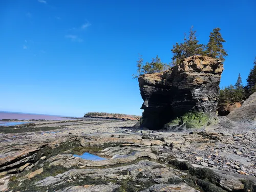 2023 Best Beach Trails in Cheverie | AllTrails