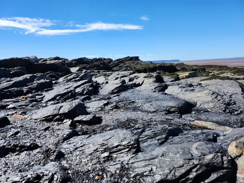 2023 Best Beach Trails in Cheverie | AllTrails