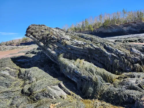 2023 Best Beach Trails in Cheverie | AllTrails