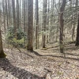 Devils Fork Gap to Flint Mountain Shelter via Appalachian Trail, North ...