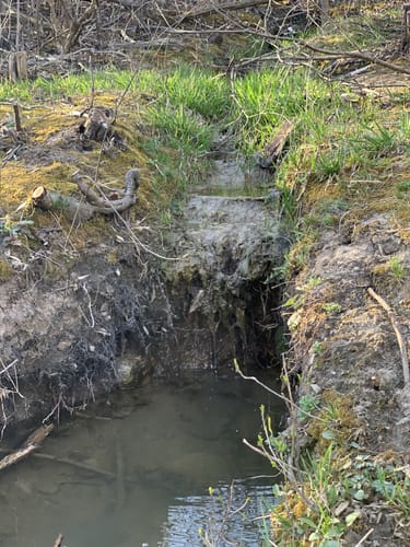 Best Hikes and Trails in Grobschmidt Park | AllTrails