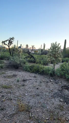 Best Hikes and Trails in Greasewood Park | AllTrails