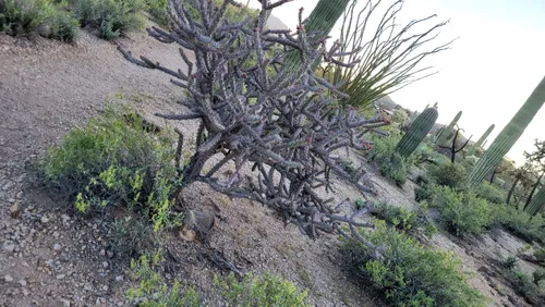 Best Hikes and Trails in Greasewood Park | AllTrails