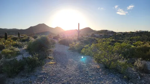 Best Hikes and Trails in Greasewood Park | AllTrails