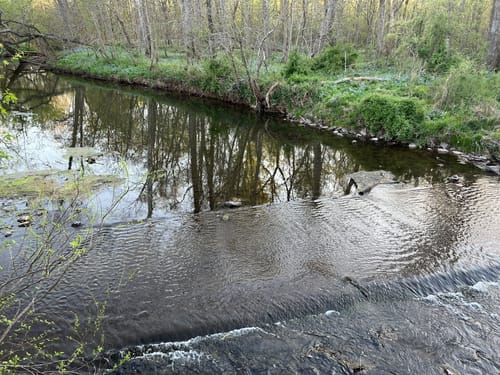 Best Hikes and Trails in Cub Run Stream Valley Park | AllTrails