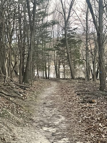 Best Hikes and Trails in Portman Nature Preserve | AllTrails