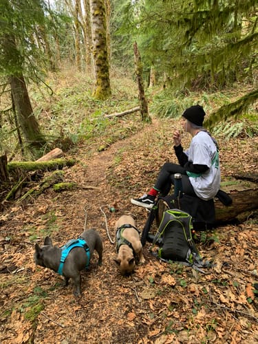 2023 Best River Trails in Tiger Mountain State Forest | AllTrails