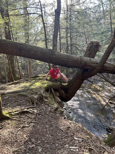 Best Hikes and Trails in Deep Lock Quarry Metro Park | AllTrails