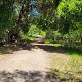 The Meadows Slough Trail, California - 380 Reviews, Map | AllTrails
