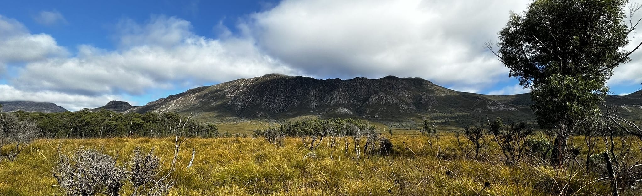 Lake Rhona via Rasselas Track: 74 Fotos - Tasmanien, Australien | AllTrails