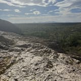 Cactus Forest Loop Drive, Arizona - 462 Reviews, Map | AllTrails