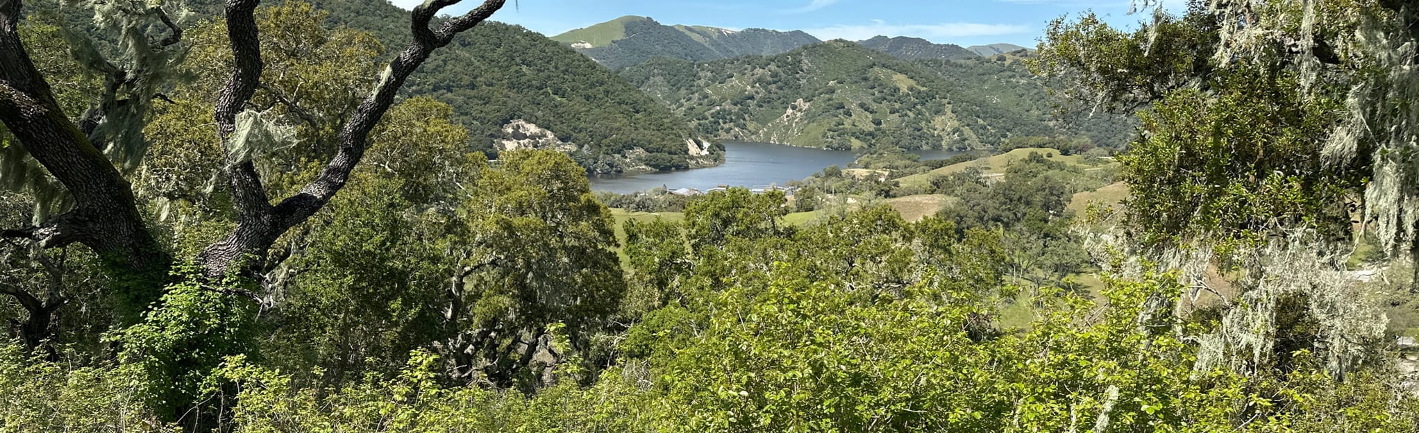 High Ridge Trail Loop, California - 116 Reviews, Map | AllTrails