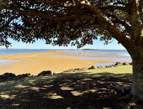 Best Hikes and Trails in King Island Conservation Park | AllTrails