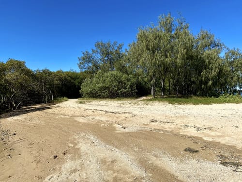 Best Hikes and Trails in King Island Conservation Park | AllTrails