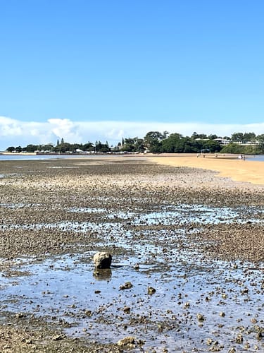 Best Hikes and Trails in King Island Conservation Park | AllTrails