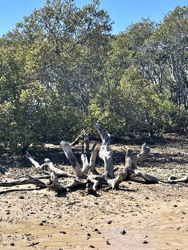 Best Hikes and Trails in King Island Conservation Park | AllTrails