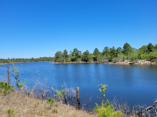 Best Hikes and Trails in Holly Ridge | AllTrails