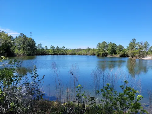 2023 Best Easy Trails in Holly Ridge | AllTrails