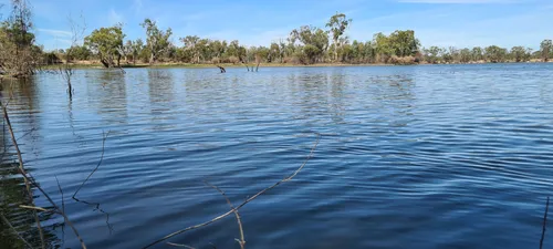 Best Hikes and Trails in Morgan Conservation Morgan South Australia ...